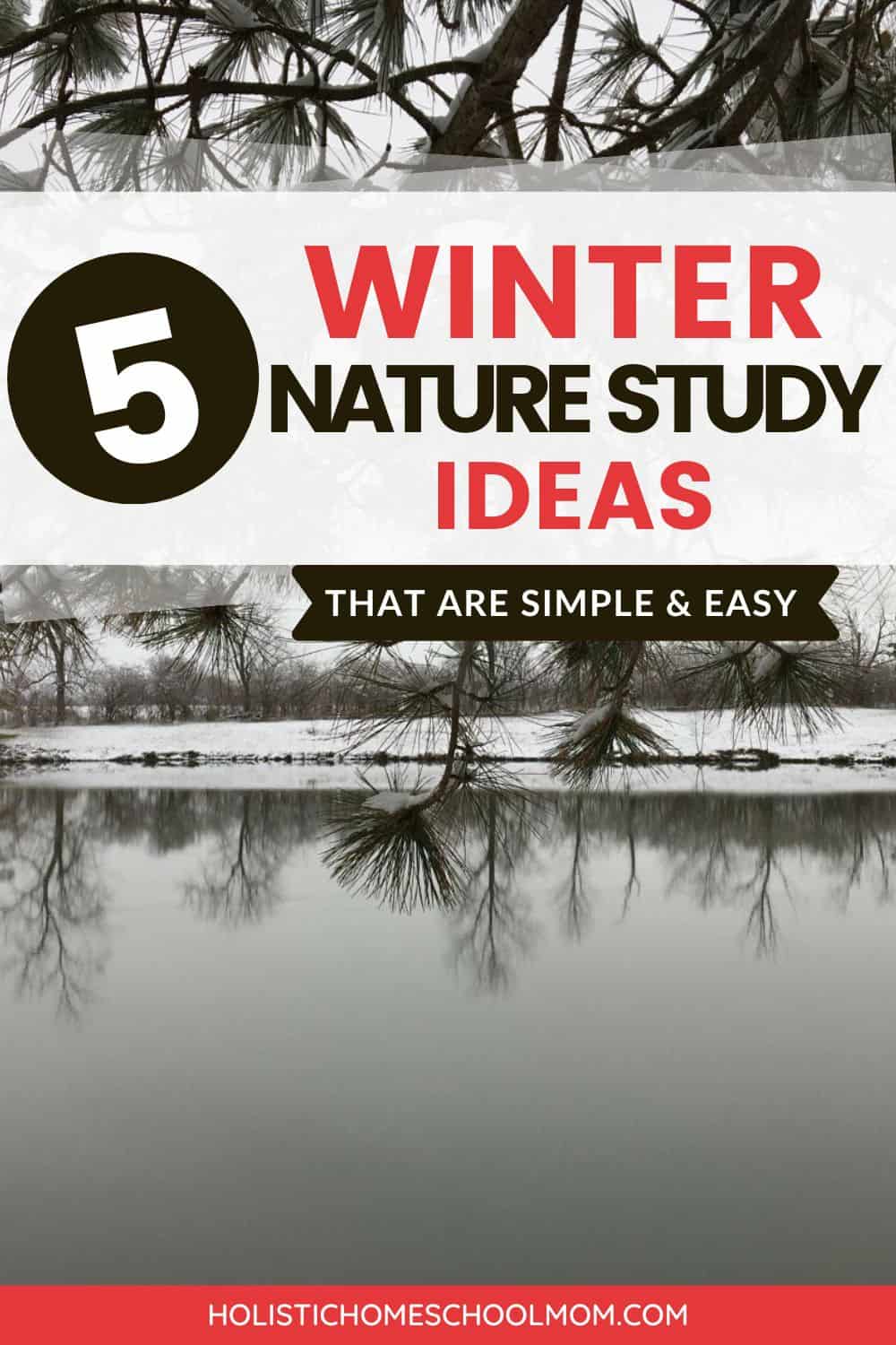 5 Simple Winter Nature Study Ideas - Holistic Homeschool Mom