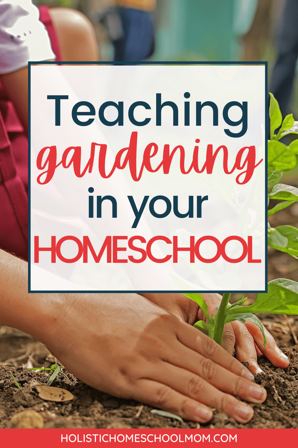 How to Include Gardening in Your Homeschool - Holistic Homeschool Mom
