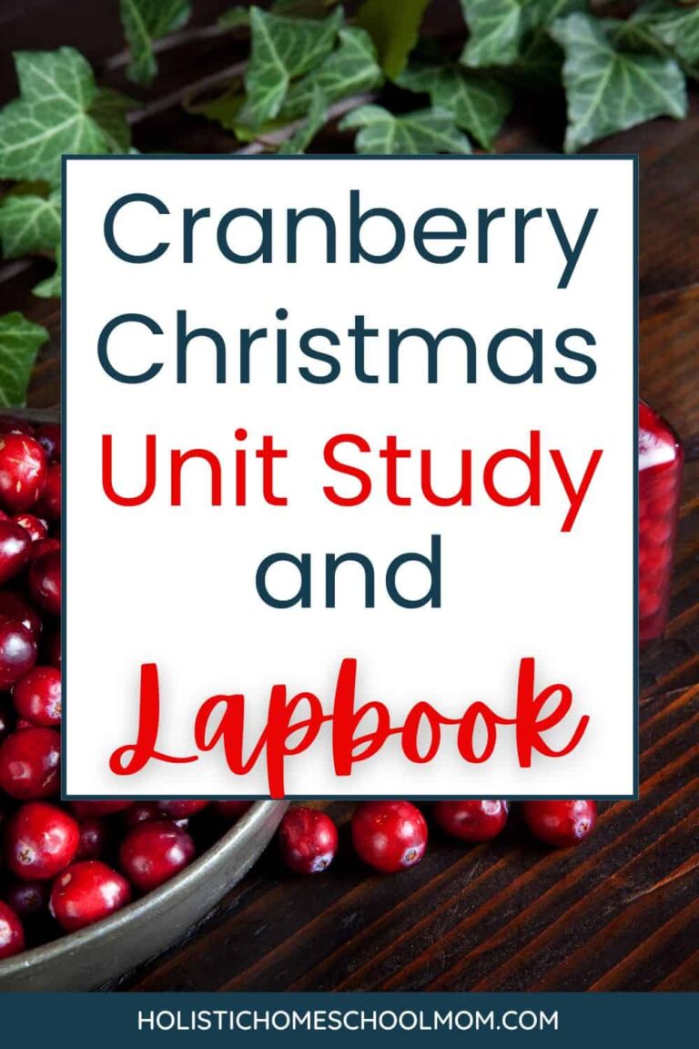 Cranberry Christmas Unit Study and Lapbook - Holistic Homeschool Mom